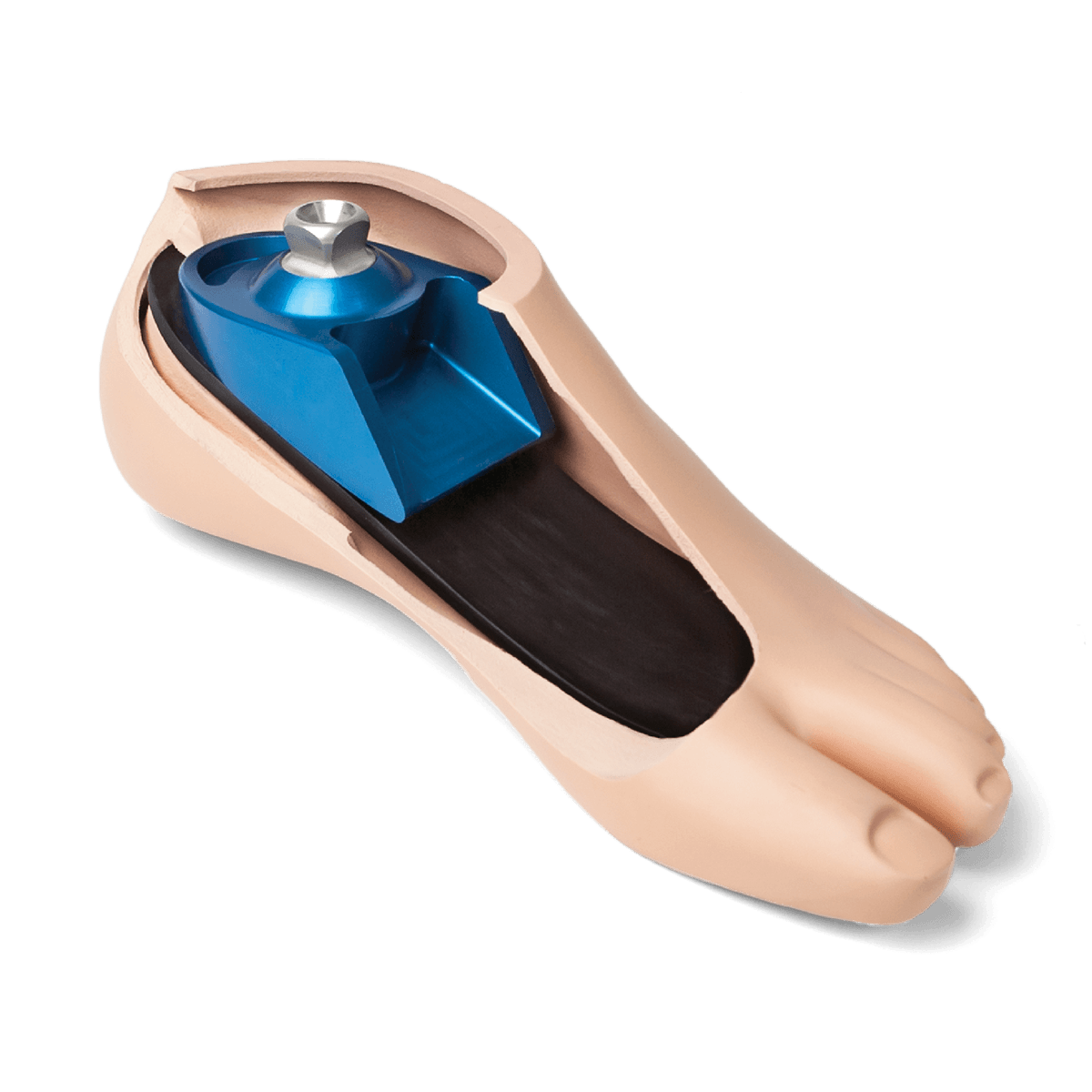 Prosthetic Feet – College Park International