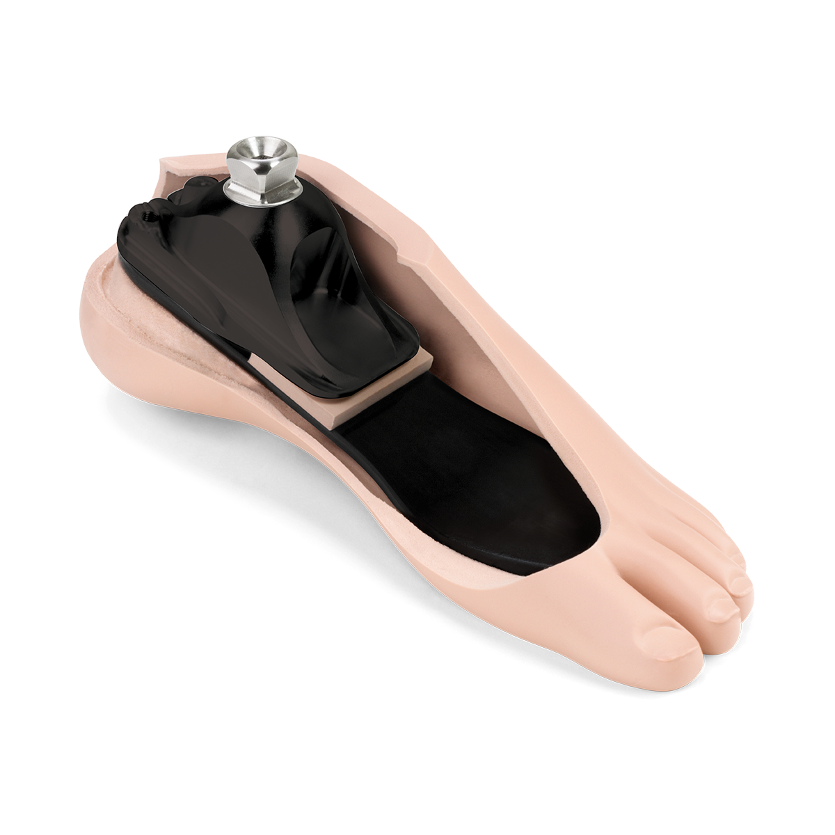 Prosthetic Feet – College Park International